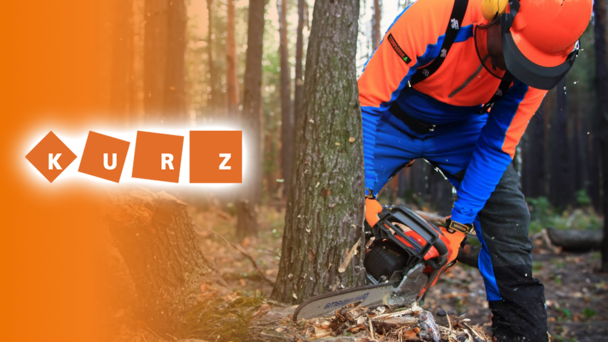 Baum fällen und entsorgen - so funktioniert es reibungslos!